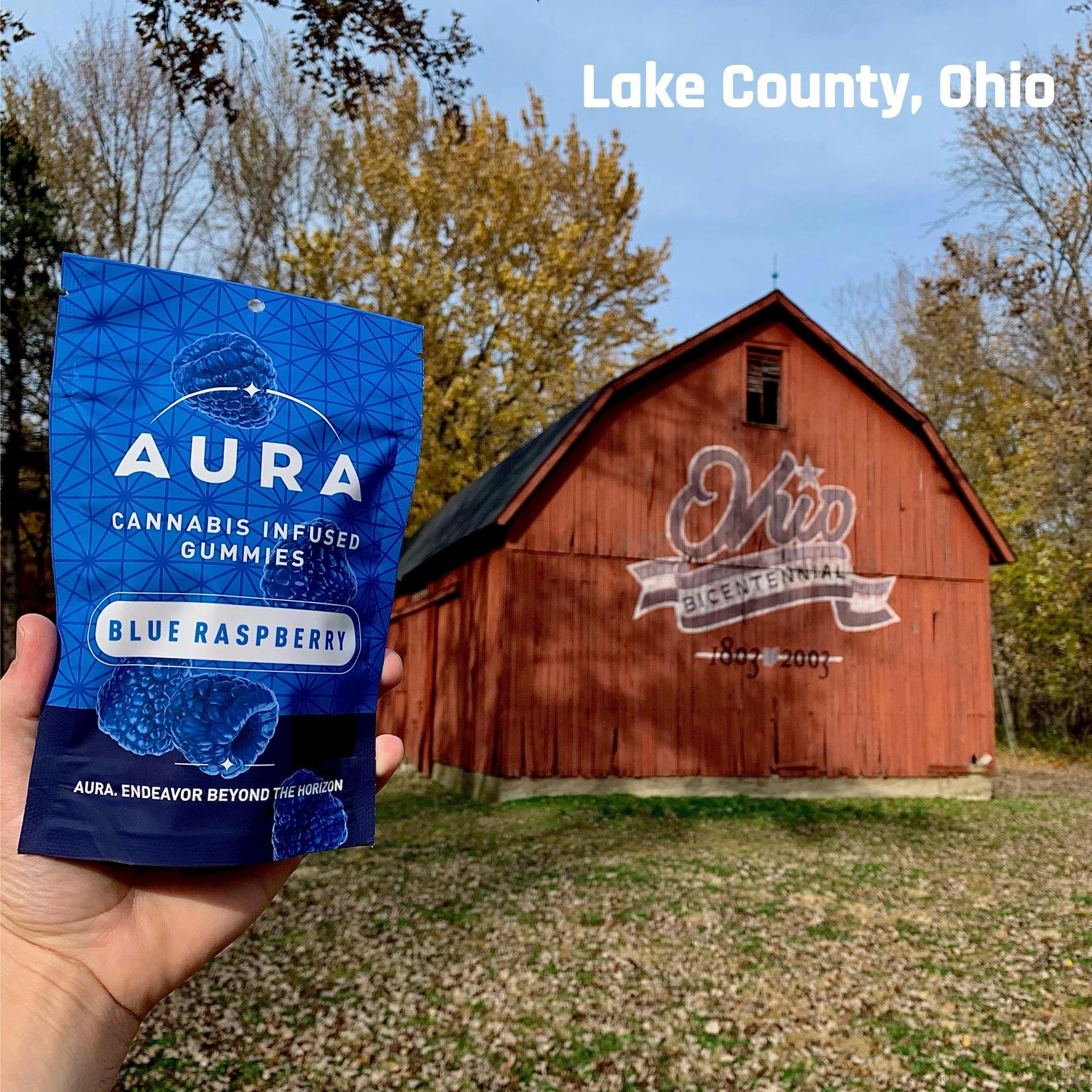 Blue Raspberry Crunch + CBN 220mg | 20pk 20pk Edibles | Aura