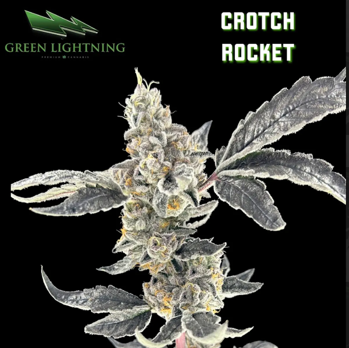 Green Lightning Crotch Rocket 3.5g 1/8oz Flower | Green Lightning