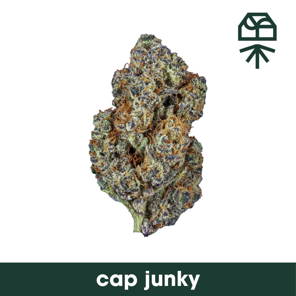 Cap Junky Whole Flower 3.5g | Curaleaf