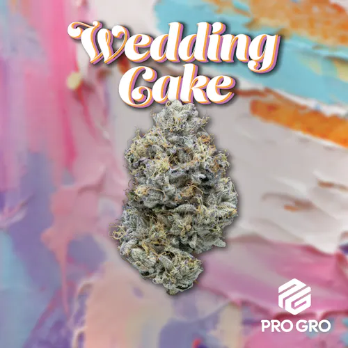 Wedding Cake 1g Pre-Roll • Pure Options