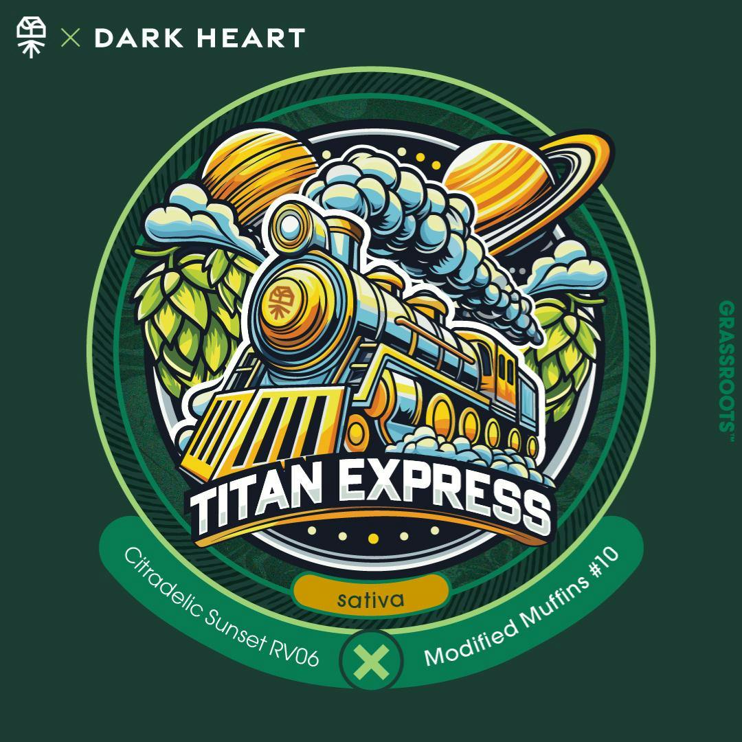 Dark Heart Titan Express Small Buds 7g | Curaleaf