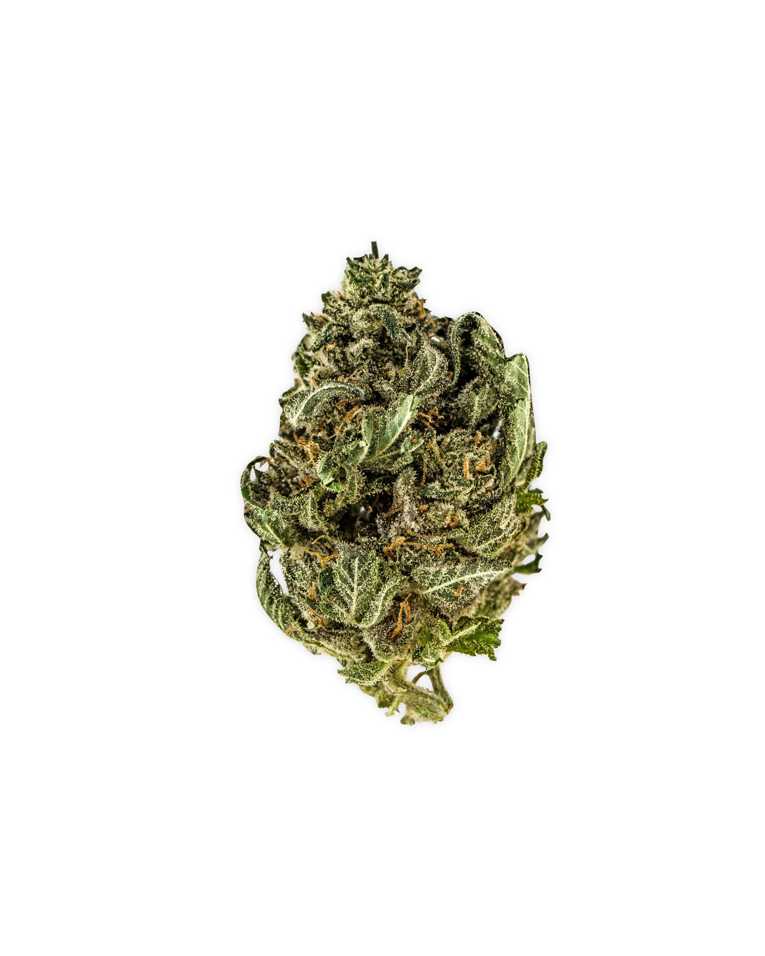 Shop Good Green Indoor ZACK'S CAKE in Hudson | Gotham NYC Dispensary
