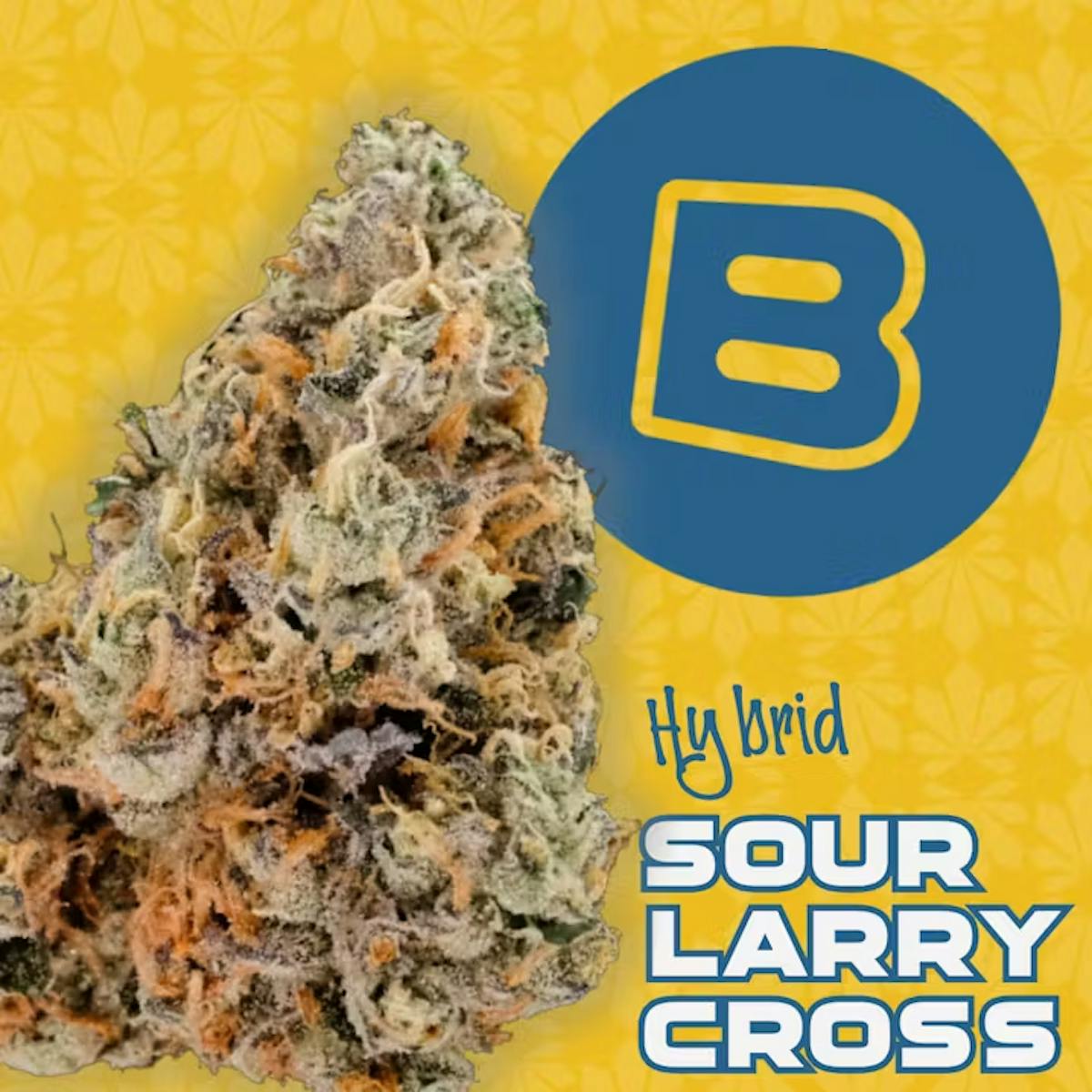 Sour Larry Cross | 2.83g 2.83g Flower | Buckeye