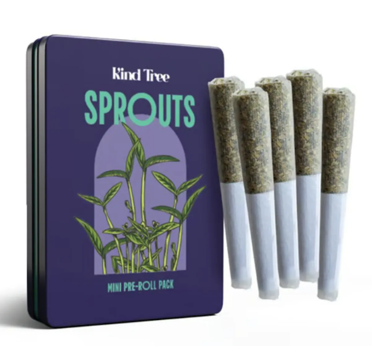 Kind Tree l Cherry Runtz Pre Roll l 5pk l 1.75g - Eastern Green ...