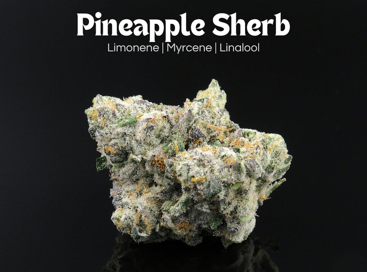 Pineapple Sherb | 14.15g 14.15g Flower | Farkas Farms
