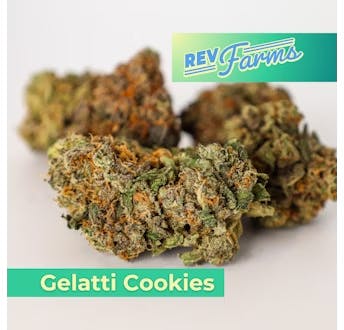 Gelatti Cookies Premium Flower | Cookies Somerville Cannabis Dispensary