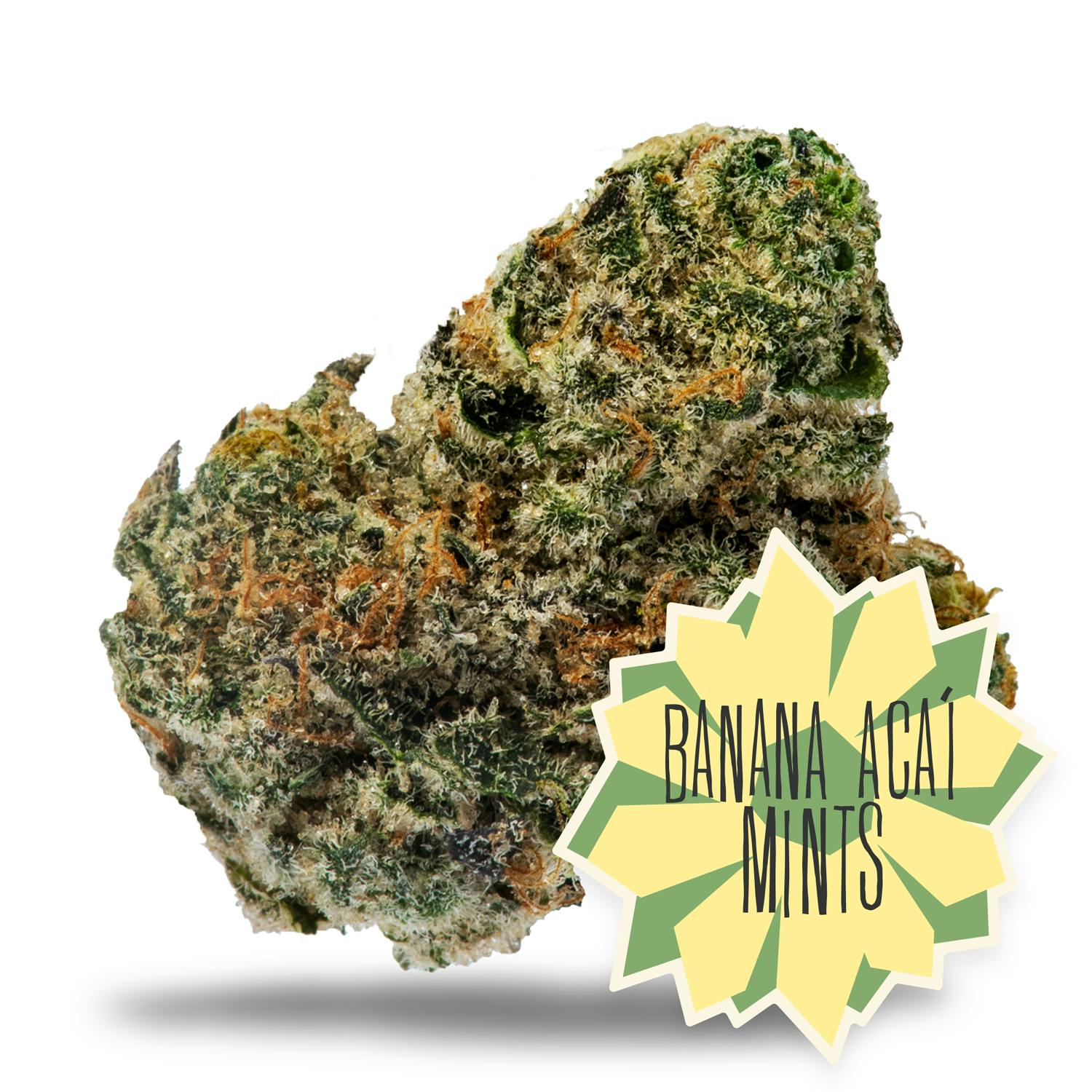Shop District Cannabis Banana Acai Mints in Washington | DISTRICT