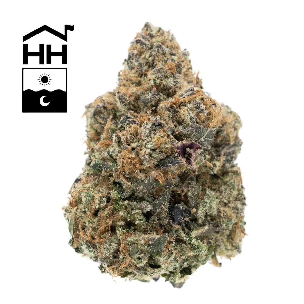 Harbor House Lemon Gelato 1/8oz Flower | Harbor House Collective