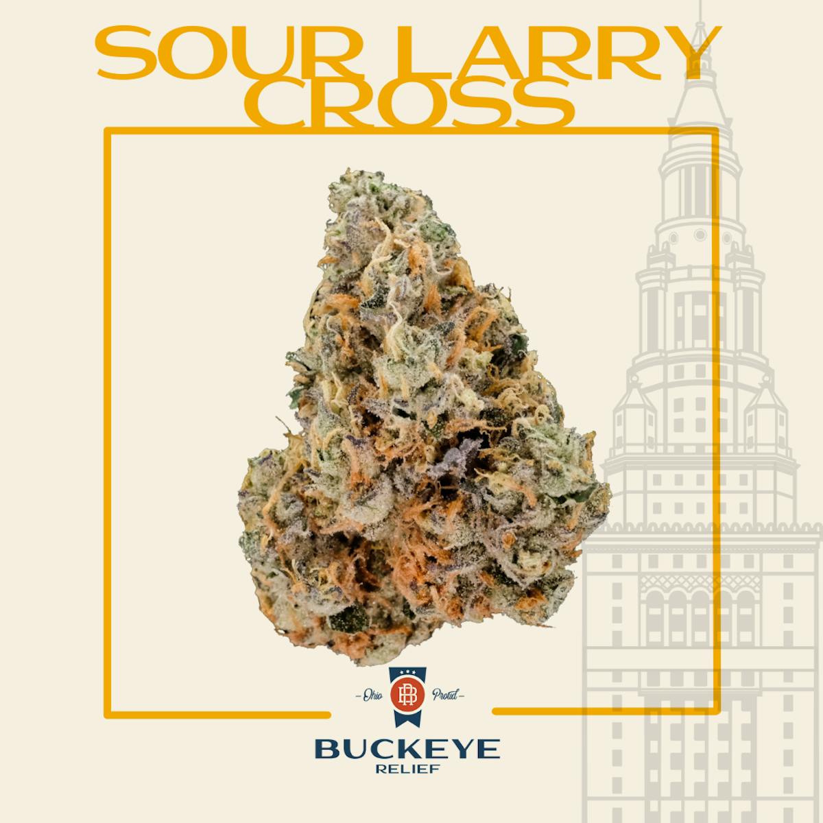 Sour Larry Cross Smalls (H) [14.15g] 14.15g Flower | Buckeye Relief