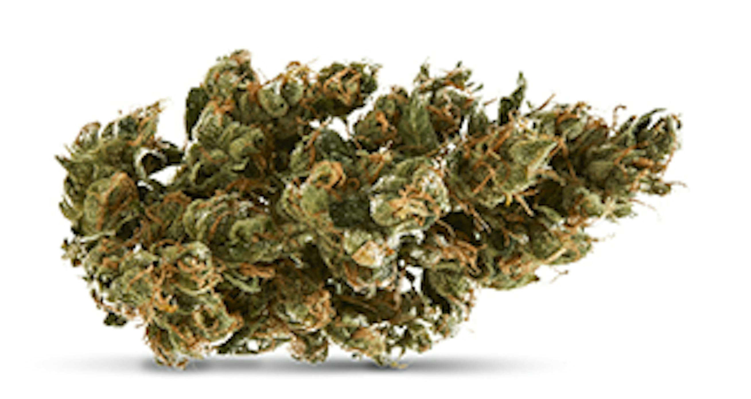 Shop Canna West Seattle - Canna West Seattle