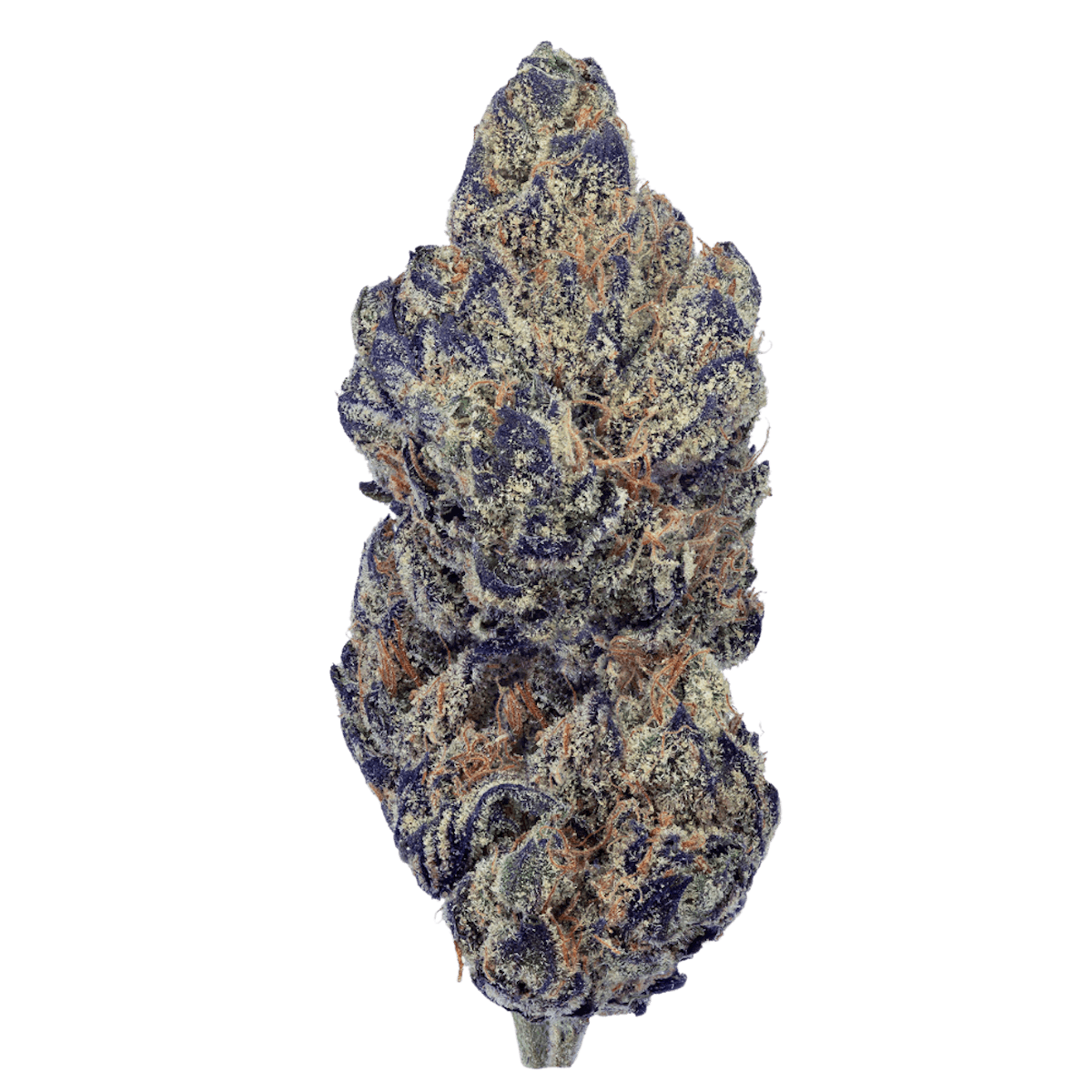 Platinum Reserve White Runtz Flower - ZenZest - Platinum Reserve White ...