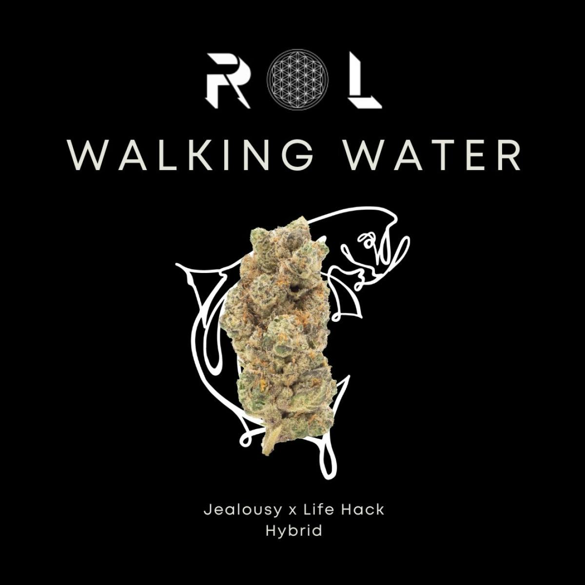 Rhythm of Life Walking On Water | Hybrid Marijuana for Sale | Joint ...