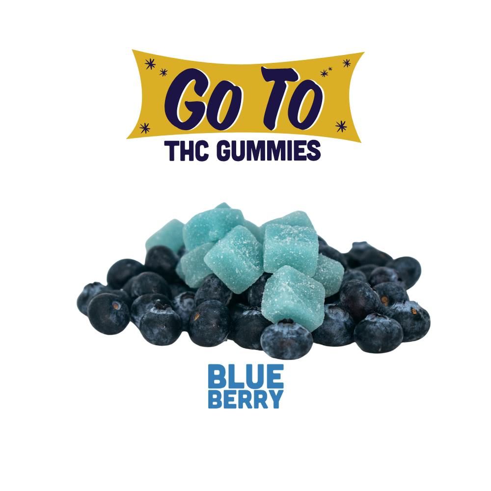Go-To Blueberry | Gummies | 20 Pk - RoadTrip Dispensary