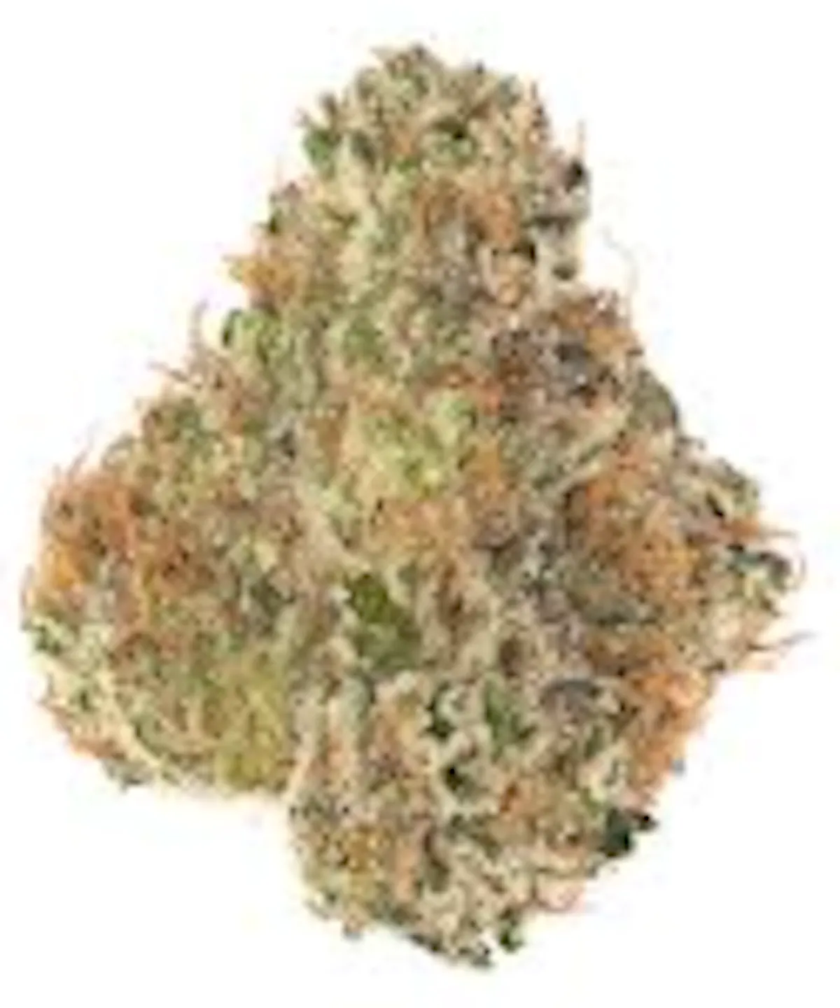 Popcorn Shelf – Lavender Jones (I) 1g Flower