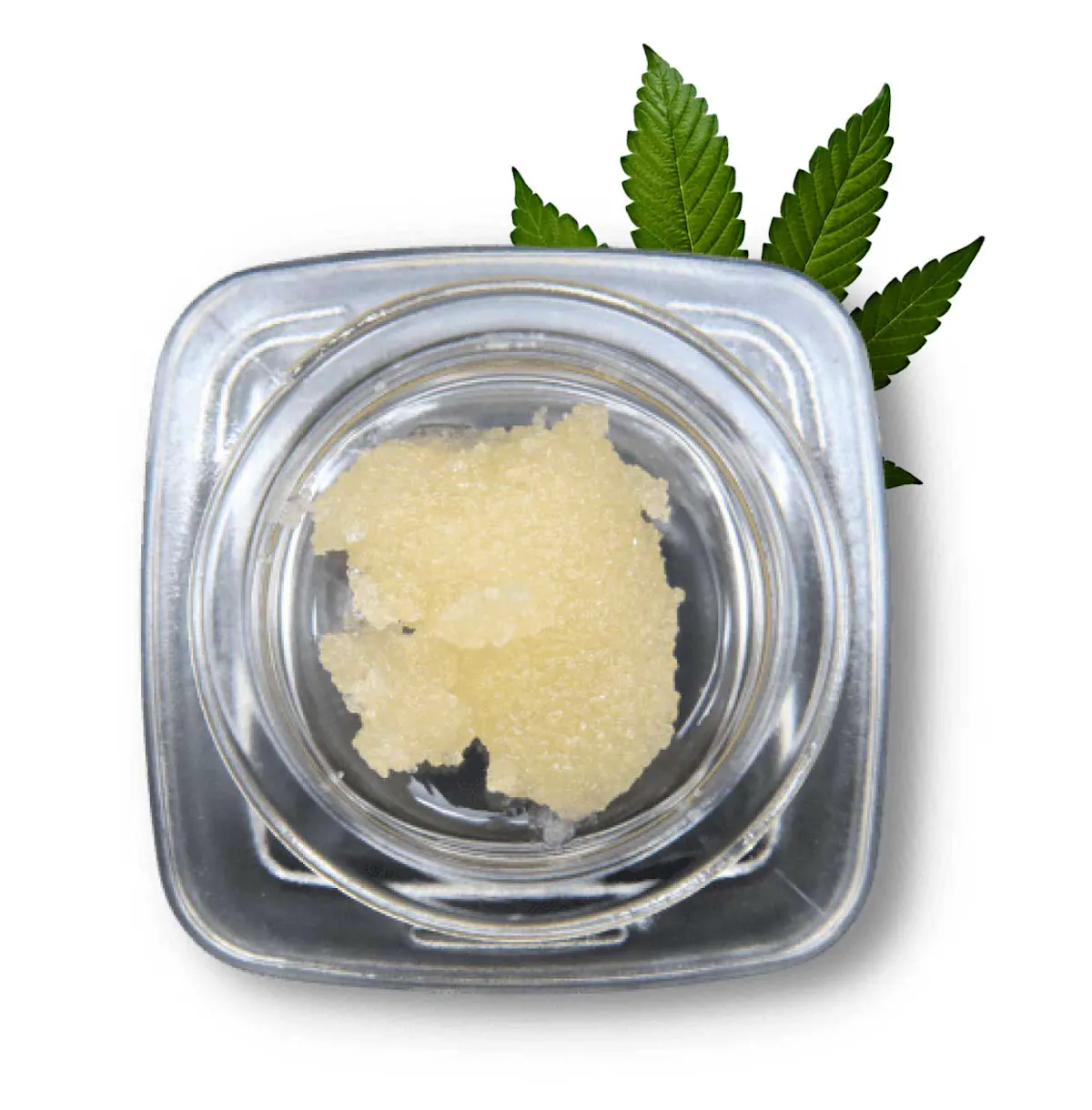 Entourage Cannabis 2g PUNCH BREATH BHO Sugar Wax 2g Concentrates ...
