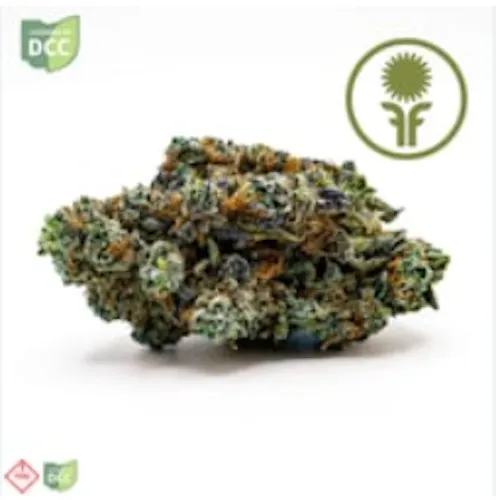 Cranberry Z | Popcorn | 2.83g • Ethos Cannabis