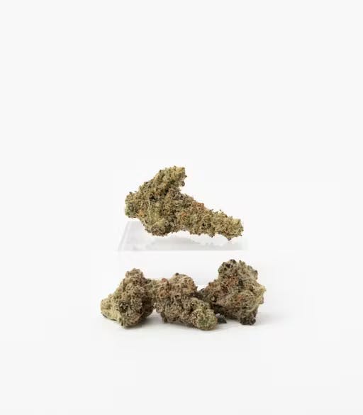 Etain - Forte: Boppers Flower - 14g | Elevate Dispensary