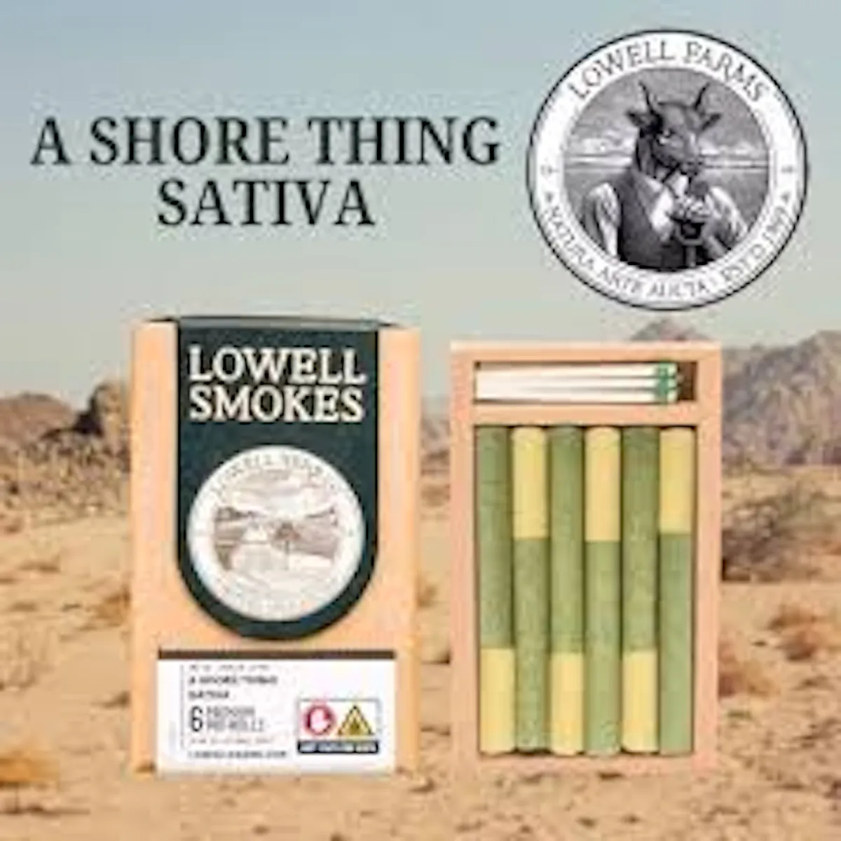 Lowell Farms l A Shore Thing Sativa Blend Pre Roll 6pk l 3.5g - Eastern ...