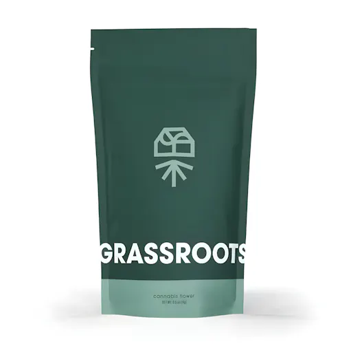 Grassroots - Indoor Flower - Foreign Kush Mints - 14g | NugHub New York