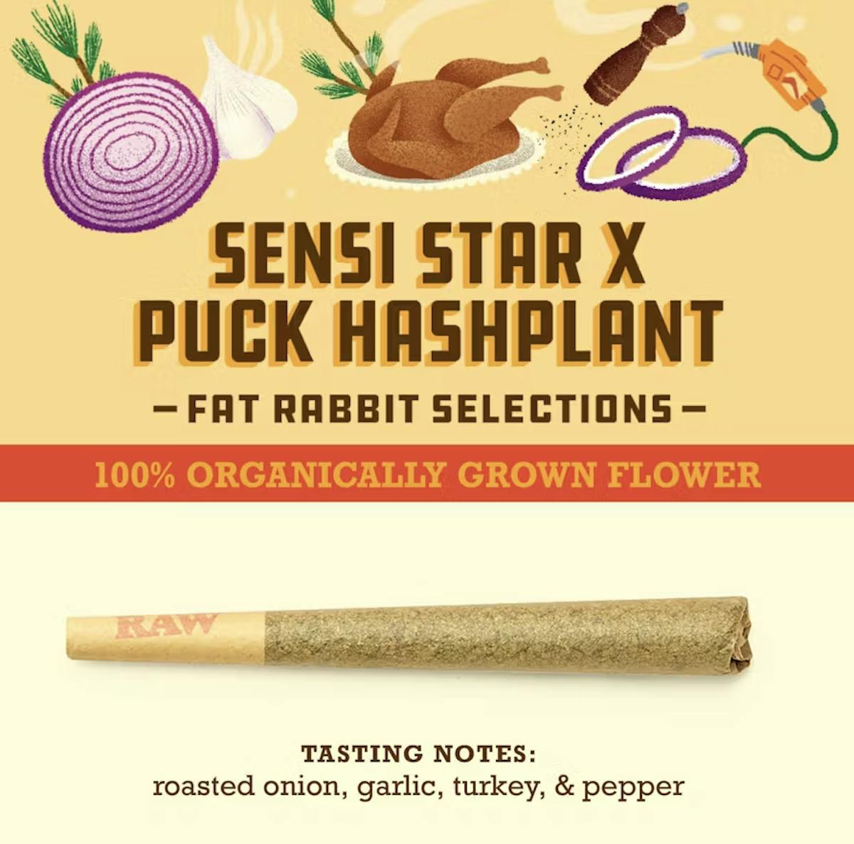 Paper Crane Sensi Star x Puck Hashplant 1g Preroll 1g Pre-rolls | Paper ...