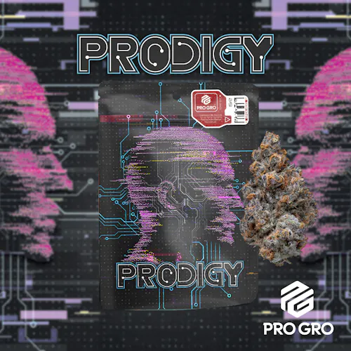 Prodigy 3.5g Flower • Pure Options