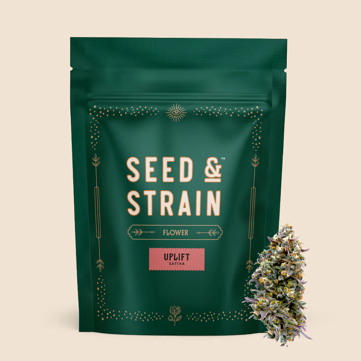 Modified Fruit 5.66g Flower | Seed & Strain