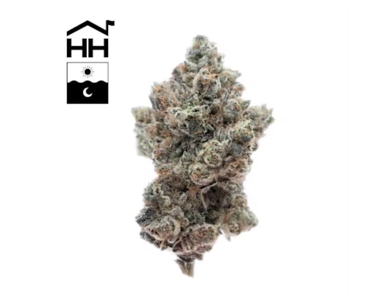 Harbor House Seaweed #2 1/8oz Flower | Harbor House Collective