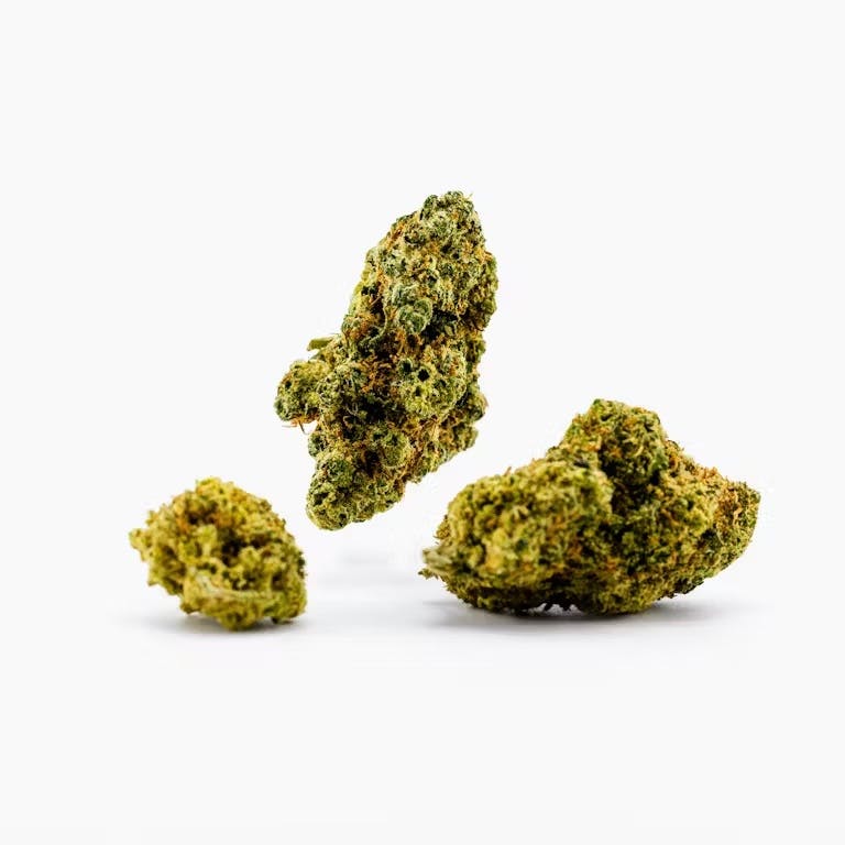 JACK DIESEL - ZenZest - JACK DIESEL Near Me - JACK DIESEL in Staten ...