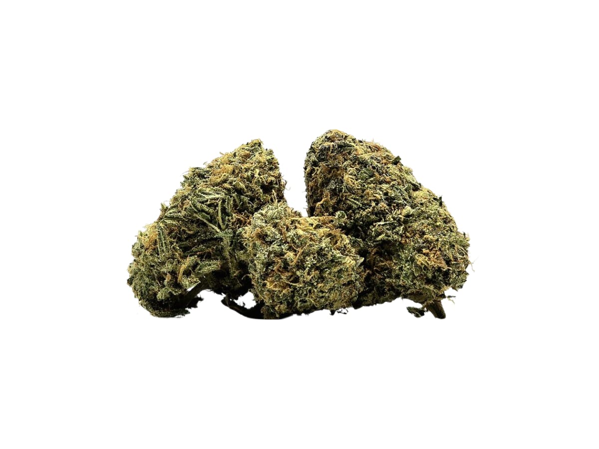 LOUD LABEL | PRESIDENTIAL RUNTZ - PREPACK HYBRID | Flower | Gatsby Cannabis