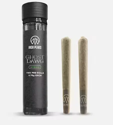 Ghost Dawg - 2 Pack • Purple Owl