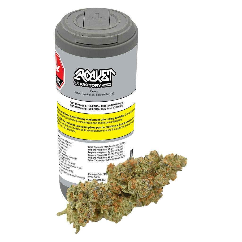 Rocket Factory - Facetz | Sessions Cannabis