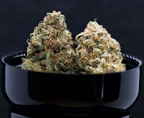 Shop Noble Valley | Flower | OC Mac 17 | 7g In New Jersey | HASHERY