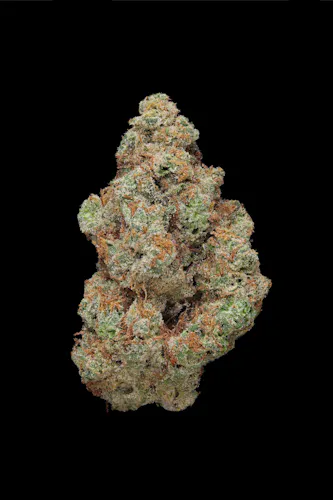 Shop Clade9 | Flower | G13 | 7g In New Jersey | HASHERY