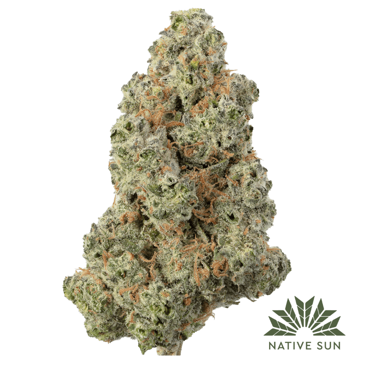 Pineapple Express | 1/2oz Flower | Native Sun | Williamstown, MA