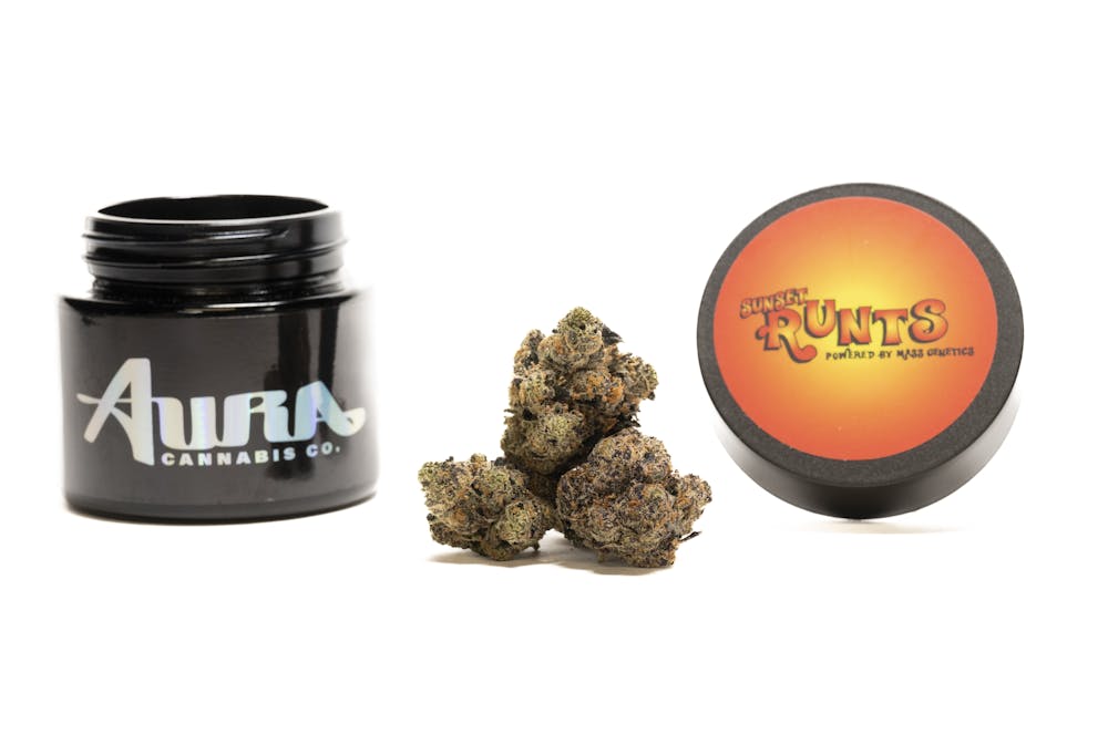 Aura Cannabis Co. Aura | Sunset Runtz | Flower |Springfield, MA | Primus