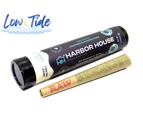 Harbor House - Pure Michigan - Joint - Cookies Florida
