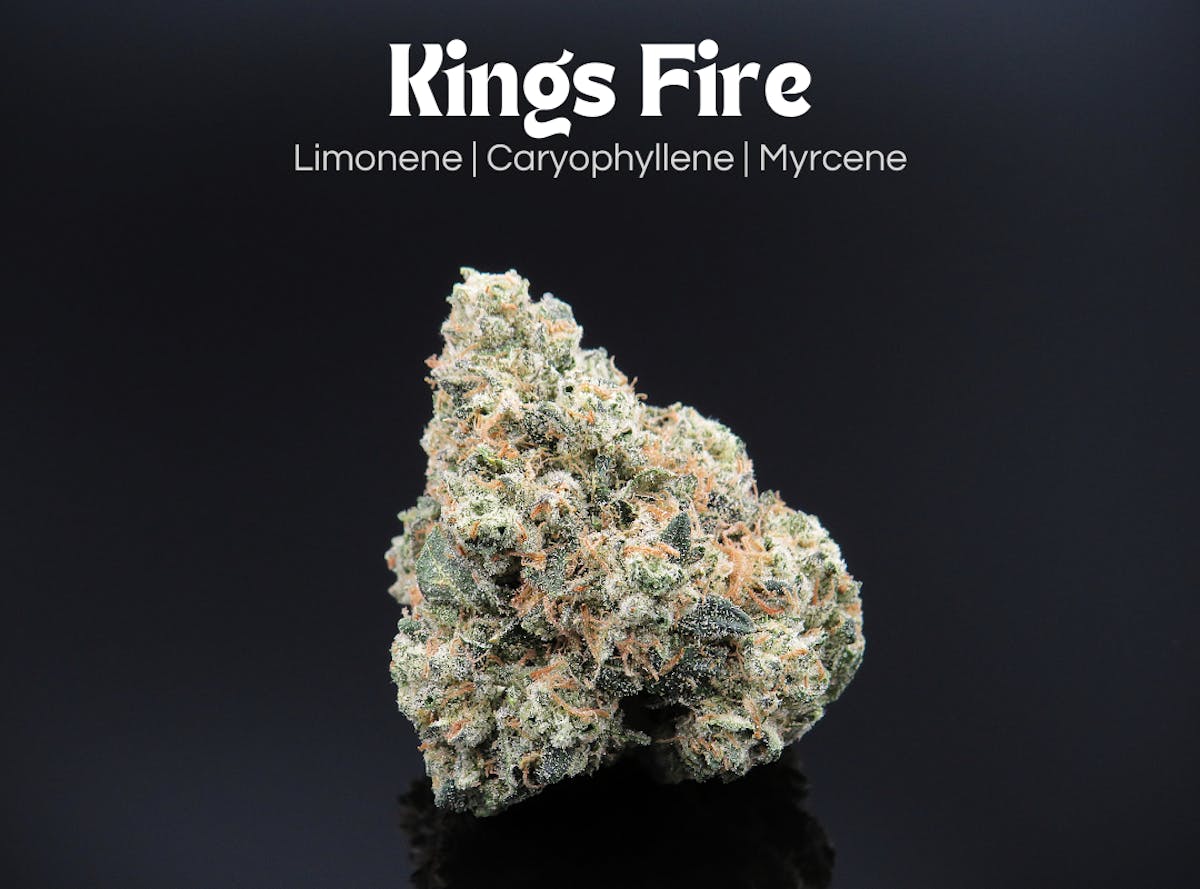 Kings Fire (H) [2.83g] 2.83g Flower | Farkas Farms