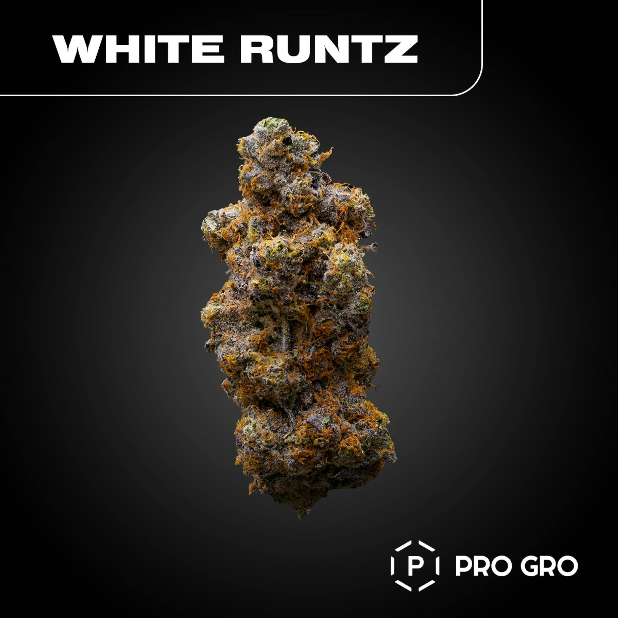 Pro Gro ProGroCo | White Runtz - Puff Cannabis Dispensary in MI