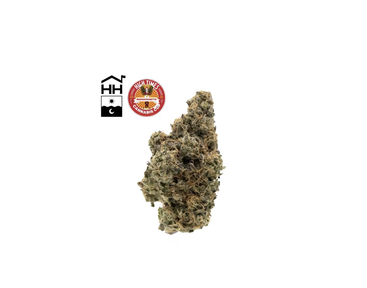Harbor House Black Maple 3.5g 1/8oz Flower | Harbor House Collective
