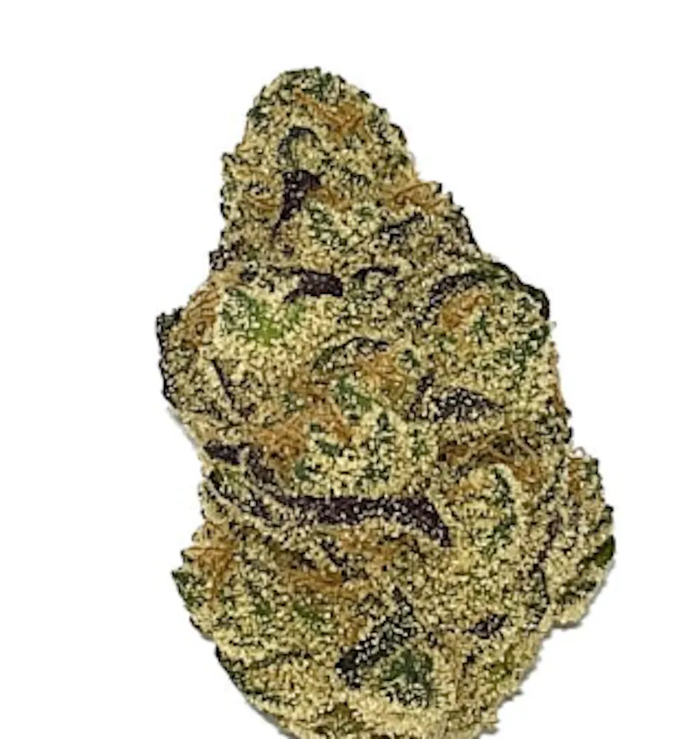 Apotho Therapeutics Tokyo Snow Buds | Malden, MA | Misty Mountain Shop