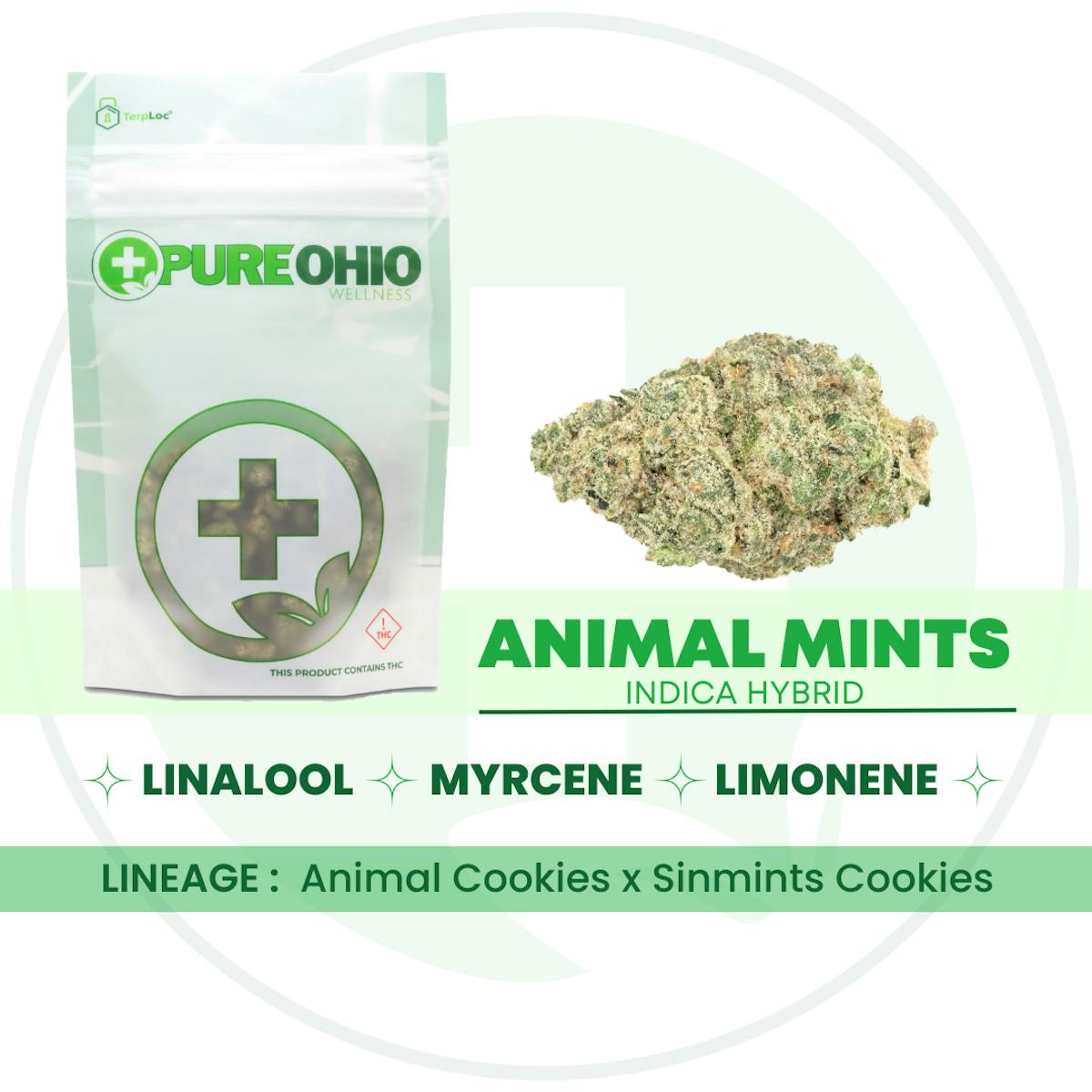 Animal Mints 14.15g Flower | Pure Ohio Wellness